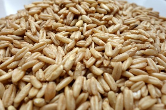 Ist Hafer glutenfrei? – Urgeschmack